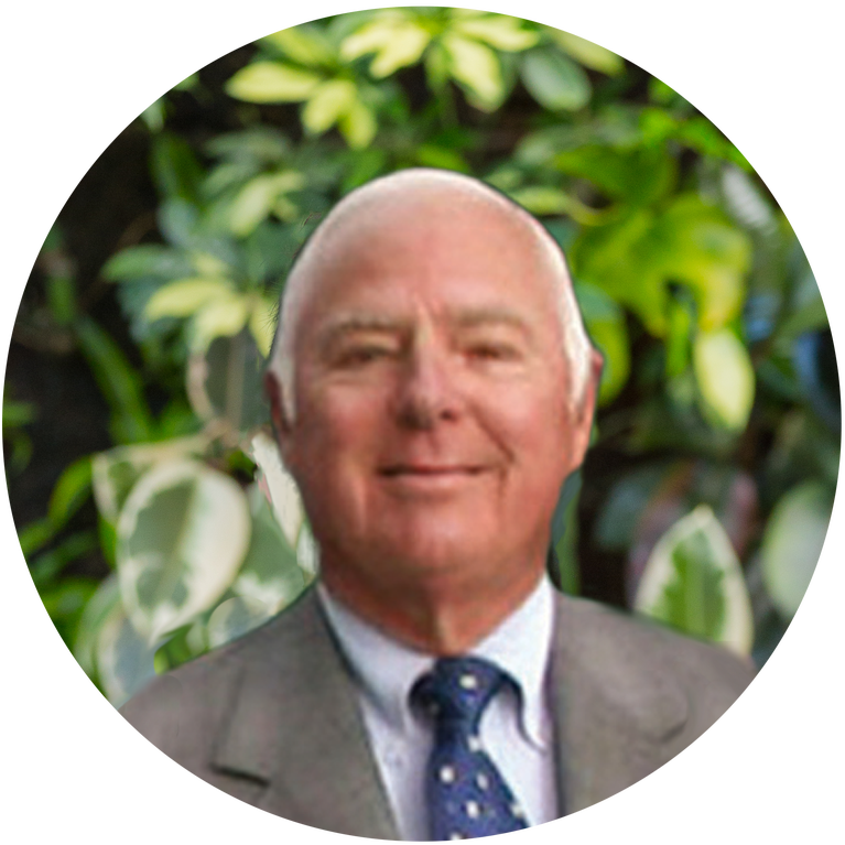 Max Becker, JR. | Buffalo | Gurney Becker and Bourne