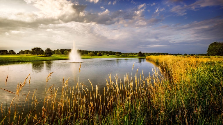 Jennifer Hendrickson