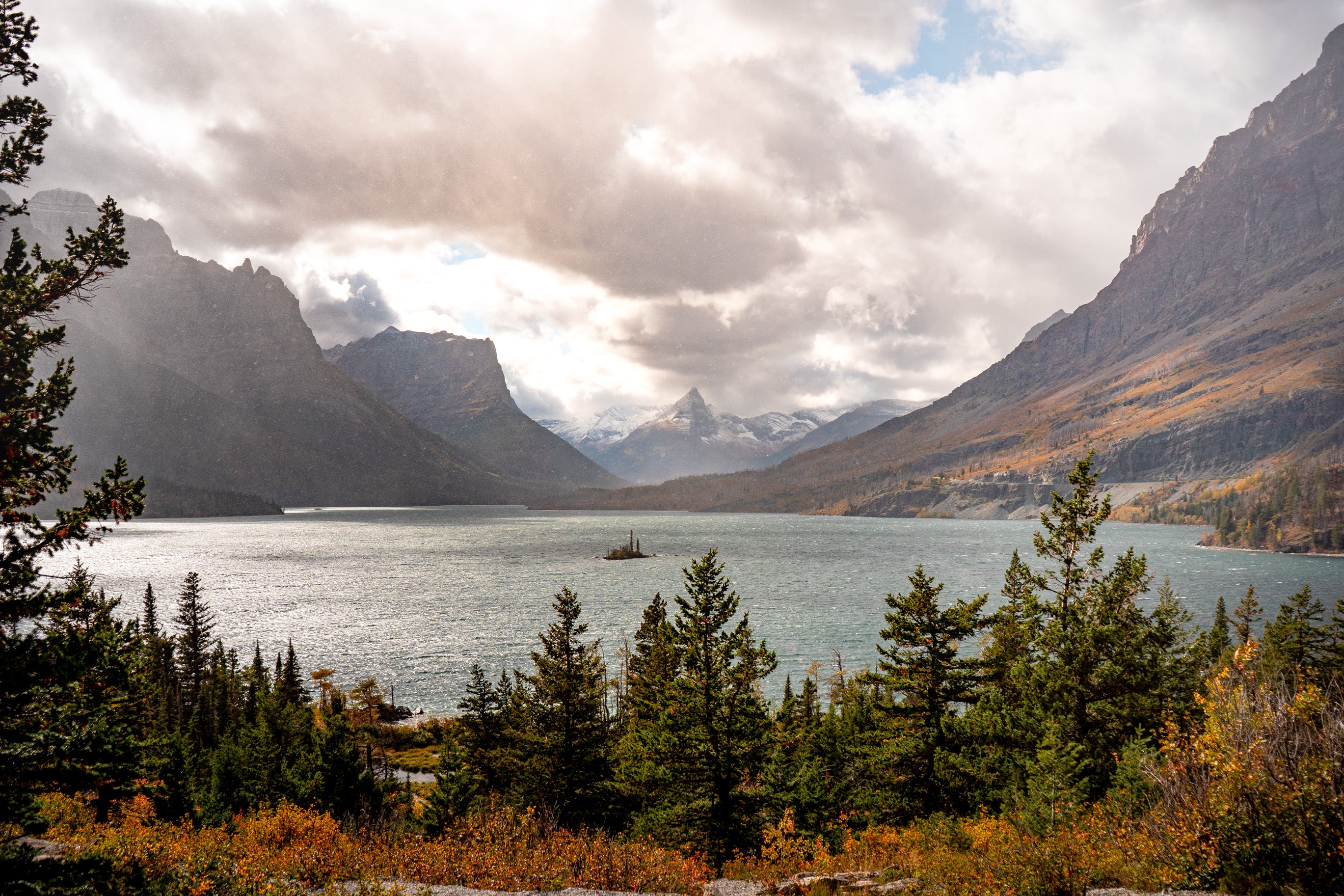 Brody Broker Team - Montana