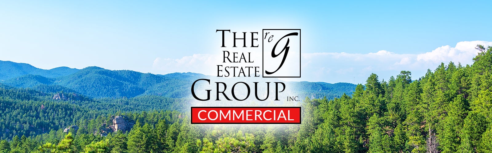 The Real Estate Group