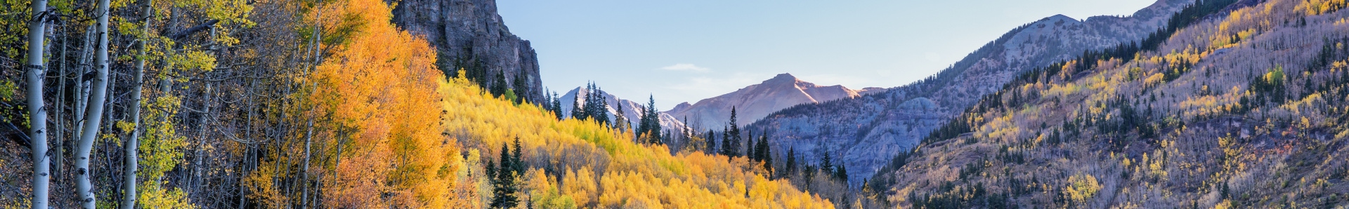 Meet Durango's Best Realtors, Brokers, & Agents | Wells Group Real Estate