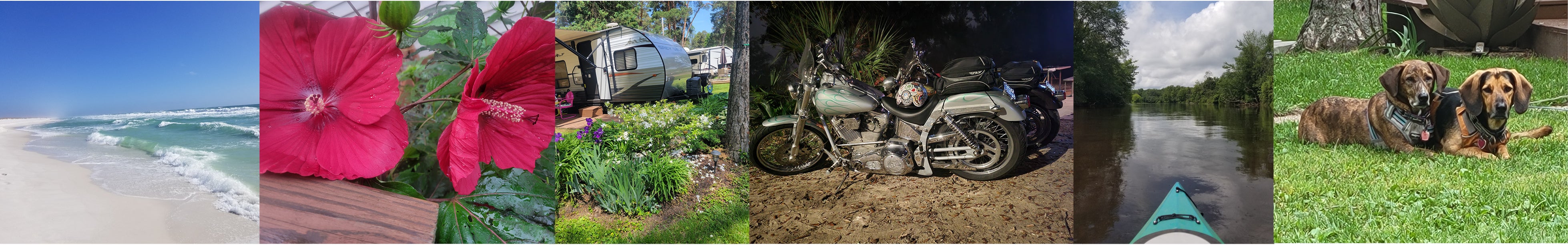 Vanessa Irving REALTOR with Jaqua Realtors