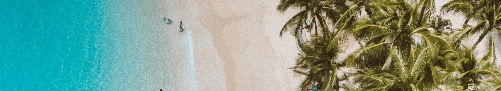 About Us | Mike Jansen