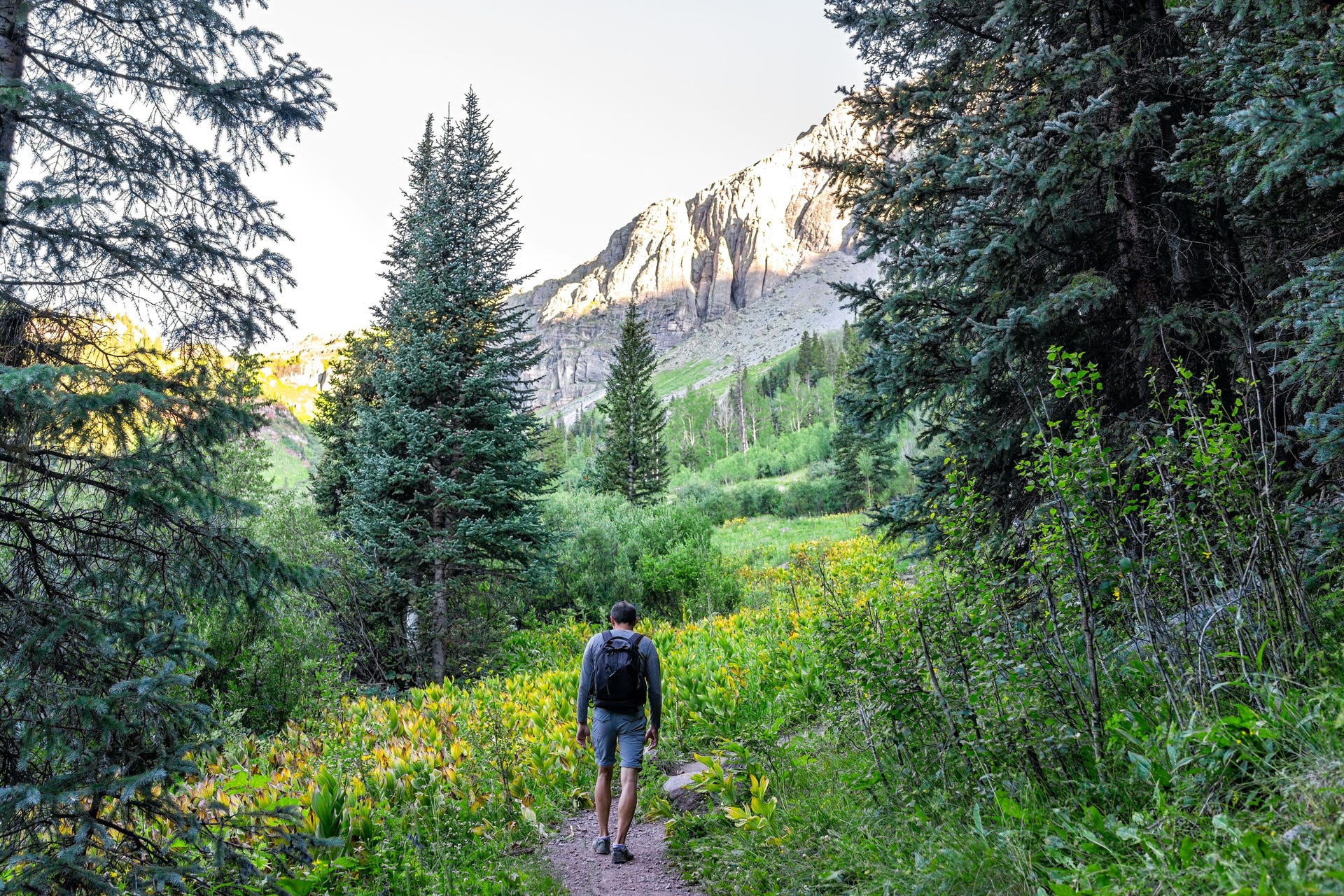 Best Hikes in Durango, CO | Wells Group Durango