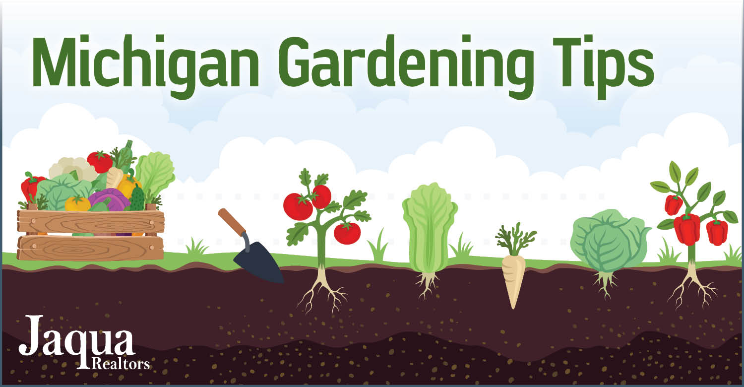 Guide to the Best Plants to Grow in Michigan & Planting Time