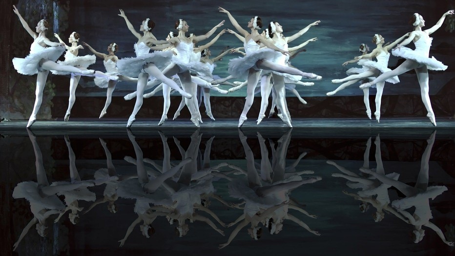 Mindful Monday - Through Discipline Comes Freedom | LAER BLOG