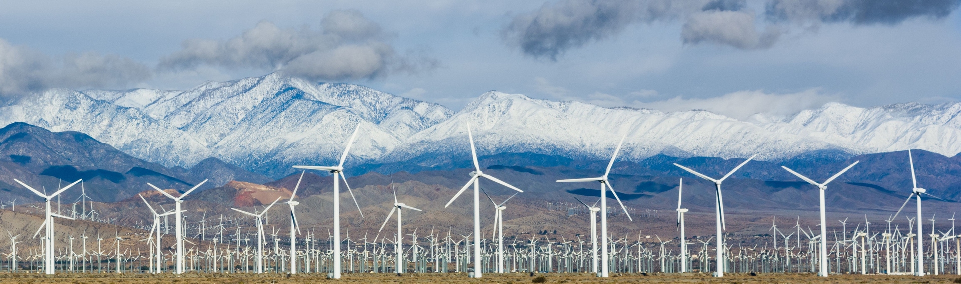 Larson Desert Realty