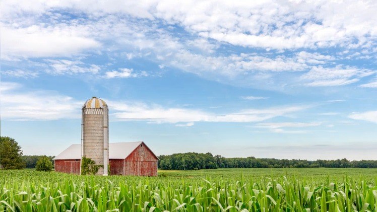 Homeland Realty Group