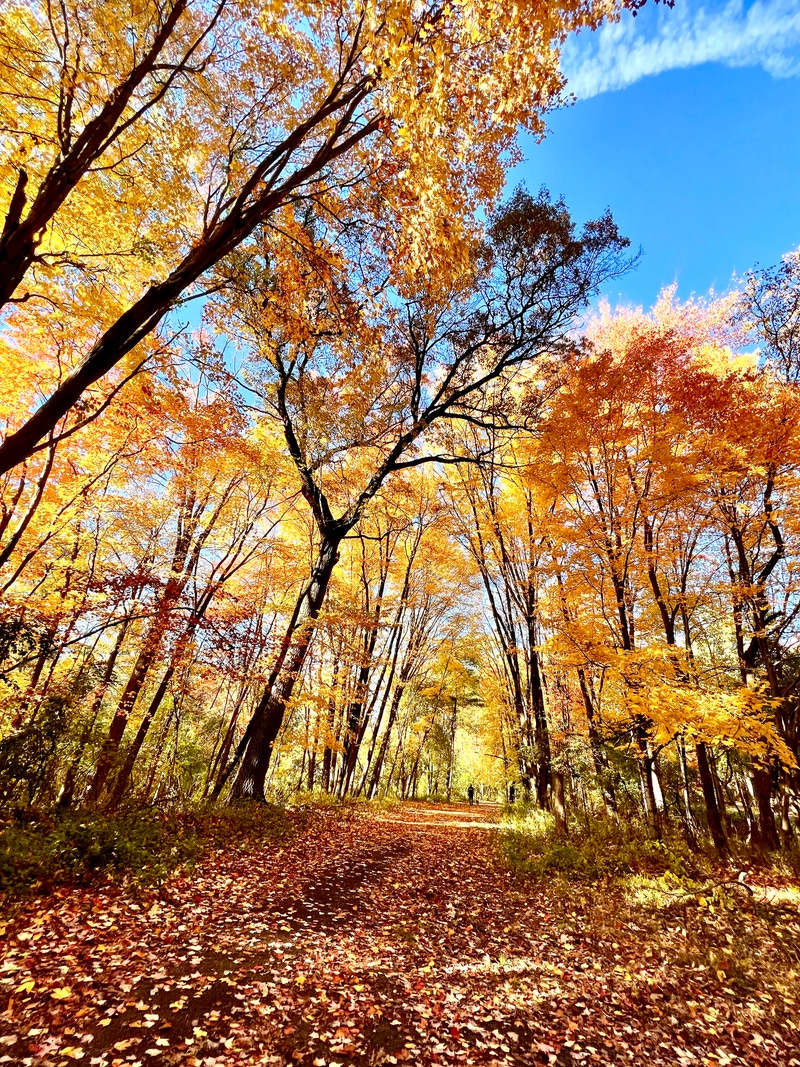 Property Shoppe Realty