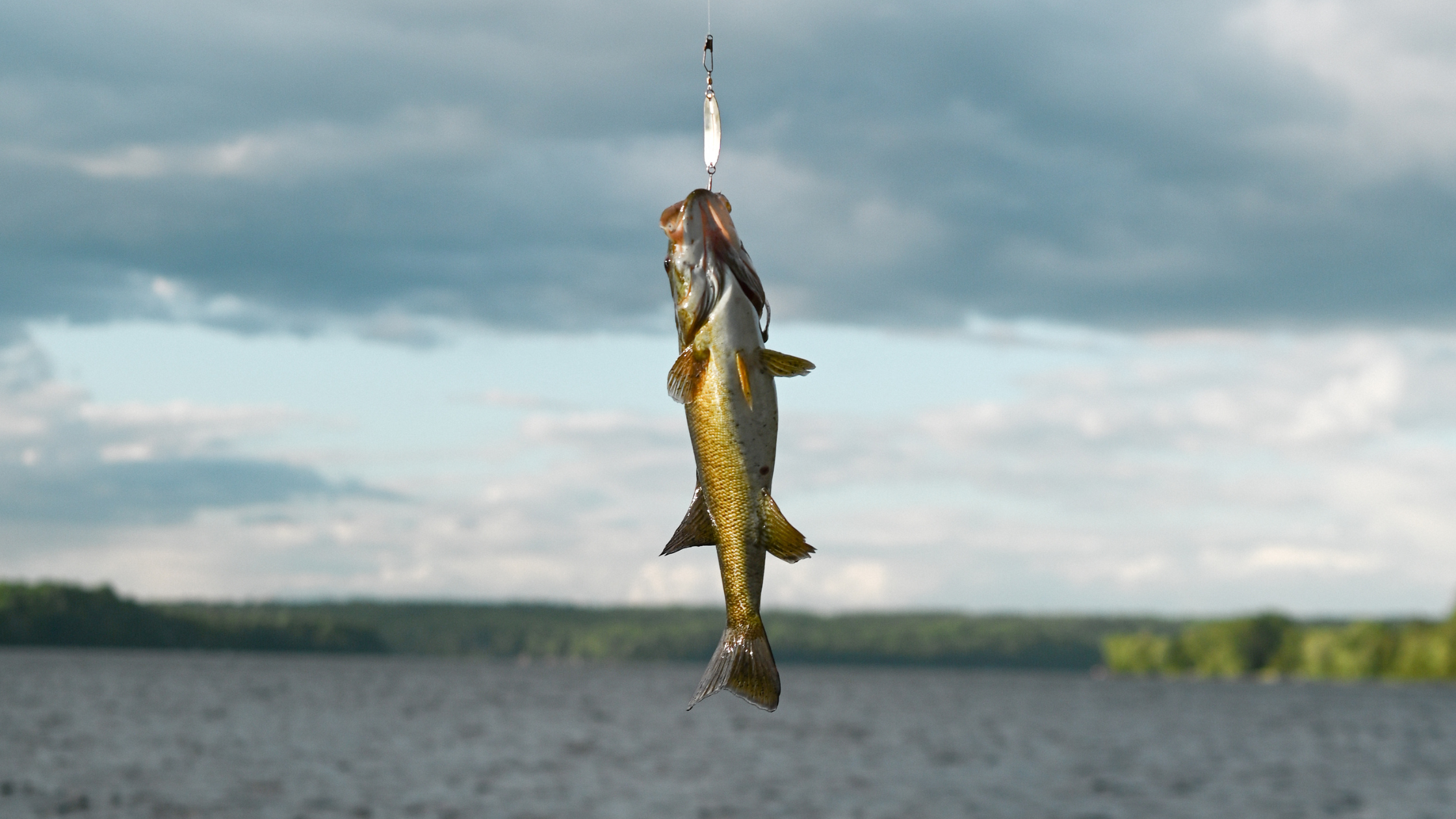 Fishing in Lake Carroll | Fawn Ridge