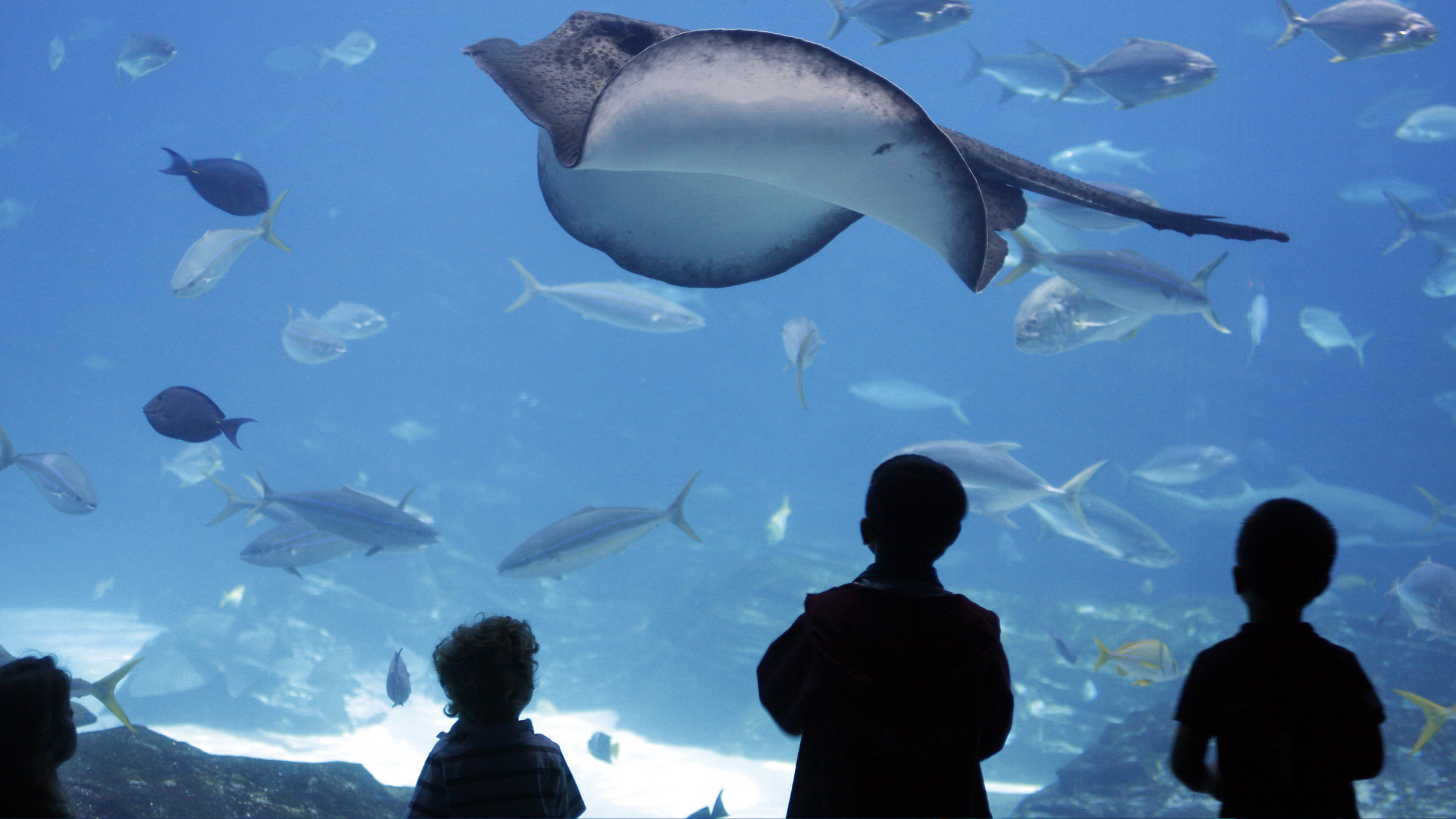 National Mississippi River Museum & Aquarium